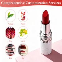 China 22 Shades  Low MOQ Brand Waterproof High Pigment Content Soft Silky Lightweight Vegan Cruelty-free Velvet Matte Lipstick for sale