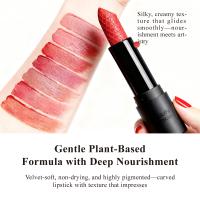 China OEM New Trendy Glossy  Red Lipstick with Matte Retro Engraved Pattern Design Long-lasting and Stain-resistant for sale