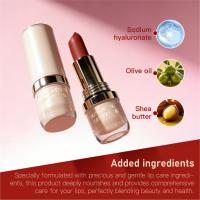 China Custom Color Moisturizing Lipstick Pencil Hydrating Organic Cream Shimmer Makeup Long Lasting Nude Red Waterproof Matte Lipstick for sale