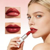 China OEM ODM Hydrating Cream Lipstick Waterproof Long Lasting Makeup Cute Long Lasting Nude Red Waterproof Moisturizing Lipstick for sale