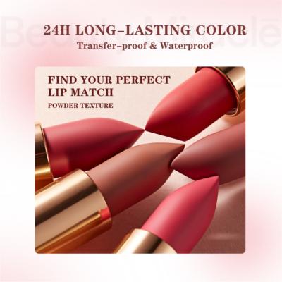 China OEM ODM Custom Brand Factory 24H Long Lasting Non Transfer Matte Lipstick Makeup Cosmetics for sale
