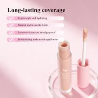 China Own-brand Cosmetics Natural Organic Matte Full Coverage Vegan Waterproof Whitening Mineral Liquid Concealer 24-Hour Long-Lasting for sale