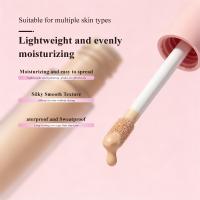 China Own-brand Cosmetics Natural Organic Matte Full Coverage Vegan Waterproof Whitening Mineral Liquid Concealer 24-Hour Long-Lasting for sale