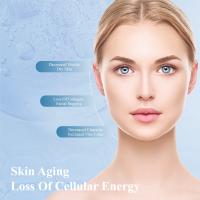 China Private Label PDRN Salmon DNA Anti-Aging Serum Ampoule PRP Collagen Microneedle for Wrinkle Repair Skin Rejuvenation Skin Care for sale