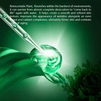 China Customized Chamomile Ampule Freeze-Dried Lyophilized Powder Reviscentalis Microneedling Anti-Aging Whitening Face Liquid for sale