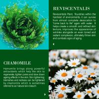 China Customized Chamomile Ampule Freeze-Dried Lyophilized Powder Reviscentalis Microneedling Anti-Aging Whitening Face Liquid for sale