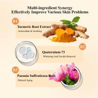 China Wholesale Customization Organic White Skin Whitening Acne Toner Facial Beauty Skincare Tumeric Face Skin Toner for Face for sale
