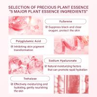 China Professional Customized Platinum Fullerene Rose Facial Serum Beauty Salon Spa Skin Revitalizer for Firming Whitening Face for sale