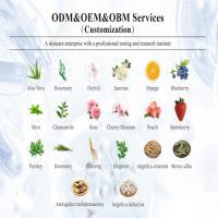 China China Manufacturer's Whitening Cream Wholesale Niacinamide Antioxidant Moisturizing Exfoliating Revitalizing Dark Circles for sale