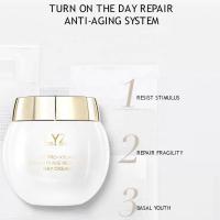 China Manufacturer Customized Pro-Xylane Collagen Face and Hand Cream for Women Whitening Vitamin E for Home Use for sale