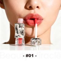 China Private Label Lip Plumper Custom Label Long-lasting Logo Waterproof Moisturizing Tinted Lip Oil for sale