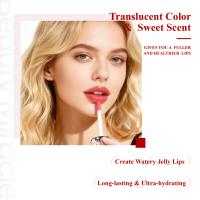 China Private Label Lip Plumper Custom Label Long-lasting Logo Waterproof Moisturizing Tinted Lip Oil for sale