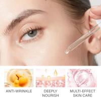 China Popular 5 1 Powerful Professional Serums Ampoule Firming Brightening for Essence Niacinamide for Women Whitening Spot Wholesale for sale