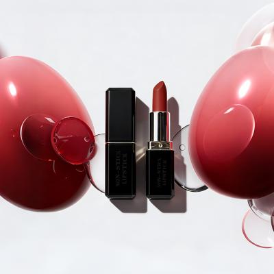 China Transfer Proof Lipstick 24H Long Lasting Waterproof Matte Lipstick Makeup Cosmetics for sale