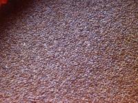 China supplying China kiwi seed for baking bread kiwi nuts and kiwi seeds kiwifruit seeds for sale