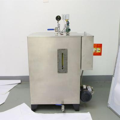 China Oven Barbecue Cleaning Portable Steam Generator Boilers 36kw Thermal Energy Savings for sale