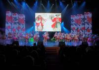 China Music Concert Events LED Video Display 2000 Nits 500X1000MM Aluminum for sale
