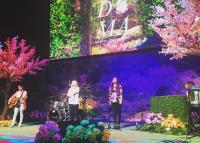 China Rental Led Video Curtain Wall Stage Led Screen AC110-220V MBI5124 for sale
