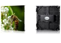 China Light Weight SMD2121 Large Indoor Led Video Display Screen for Hire for sale