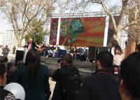 China full color P5.95 Outdoor stage background led screen Panel 500x1000mm for sale