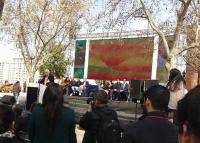 China full color P5.95 Outdoor stage background led screen Panel 500x1000mm for sale