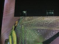 China 64x32 Module Video LED Display , outdoor led video wall With Hub75 Port for sale