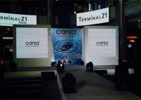 China High Brightness P3.91mm P4 Large HD LED Display Video Wall for Fashion Show for sale