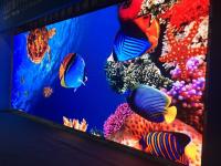 China Super Slim Concerts Indoor Rental Led Display Video Wall / Rgb Led Panel Rental for sale