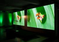 China P2.9 HD Indoor LED Video Wall 2m-10m Viewing Distance 500mmx500mm With Die Cast for sale