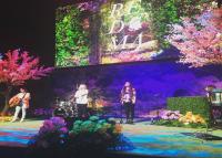 China Lightweight Backdrop Design P3 P4 P5 P6 Indoor LED Video Wall , Stage Concert Display for sale