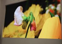 China Indoor LED Display P3.9 Aluminum LED Video Wall Rental HD Wide Viewing Angle for sale