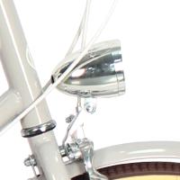 China Shimano Ladies Bike Ladies 20 Inch Frame Bike 6 Speed Gears for sale