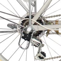 China Shimano Ladies Bike Ladies 20 Inch Frame Bike 6 Speed Gears for sale