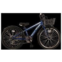 China SHIMANO 6 Speed 24 Inch Junior Mountain Bike Red / Black / Blue for sale