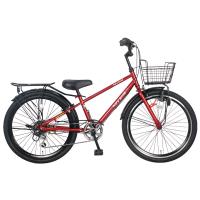 China Customized MTB 20/22/24 Inch Kids Mountain Bike With Comfortable Saddle for sale