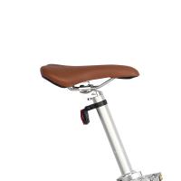 China Adult Aluminium Alloy 14 Inch Single Speed Folding Race Bike for sale