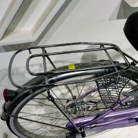 China Purple / Beige / Light Green Vintage Single Speed Ladies Bike 22/24 Inch for sale