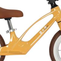 China Magnesium Alloy 12 Inch 2 Wheel Kids Balance Bike Training Bike No Pedals for sale