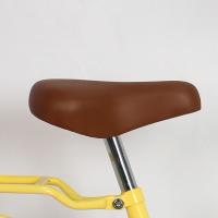 China Kids bicycle Girls Baby High Carbon Steel 20 Inch Training Wheel Children Bike for sale