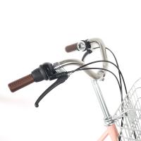 China Female Commuter Adult Student 26 Inch Variable Speed Vintage Bicycle Wholesale for sale