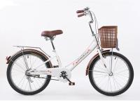 China Kids Bicycle 8 To 12 Years Old Single Speed Student 20 Inch Children Bike for sale