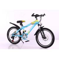 China Customized Logo Accept Age 6 / 10 / 12 Mountain Bike 7 Speed for sale