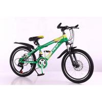 China Customized Logo Accept Age 6 / 10 / 12 Mountain Bike 7 Speed for sale