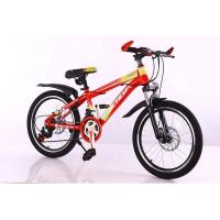 China Customized Logo Accept Age 6 / 10 / 12 Mountain Bike 7 Speed for sale