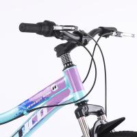 China Aluminum Alloy 20 Inch Aluminum Mountain Bikes 6 Speed for sale
