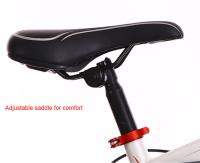 China OEM Aluminum Alloy 20 Inch Mountain Bike With Gears For Youth for sale