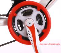 China OEM Aluminum Alloy 20 Inch Mountain Bike With Gears For Youth for sale