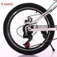 China OEM Aluminum Alloy 20 Inch Mountain Bike With Gears For Youth for sale