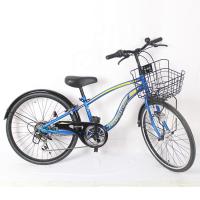 China 24 Speed/26 Inch 29er Foldable Carbon Steel Dual Hydraulic Disc Brake MTB Mountain Bike for sale