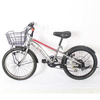 China High Carbon Steel MTB Mountain Bikes SHIMANO 6 Speed 20/22/24 Inch Student Bike for sale